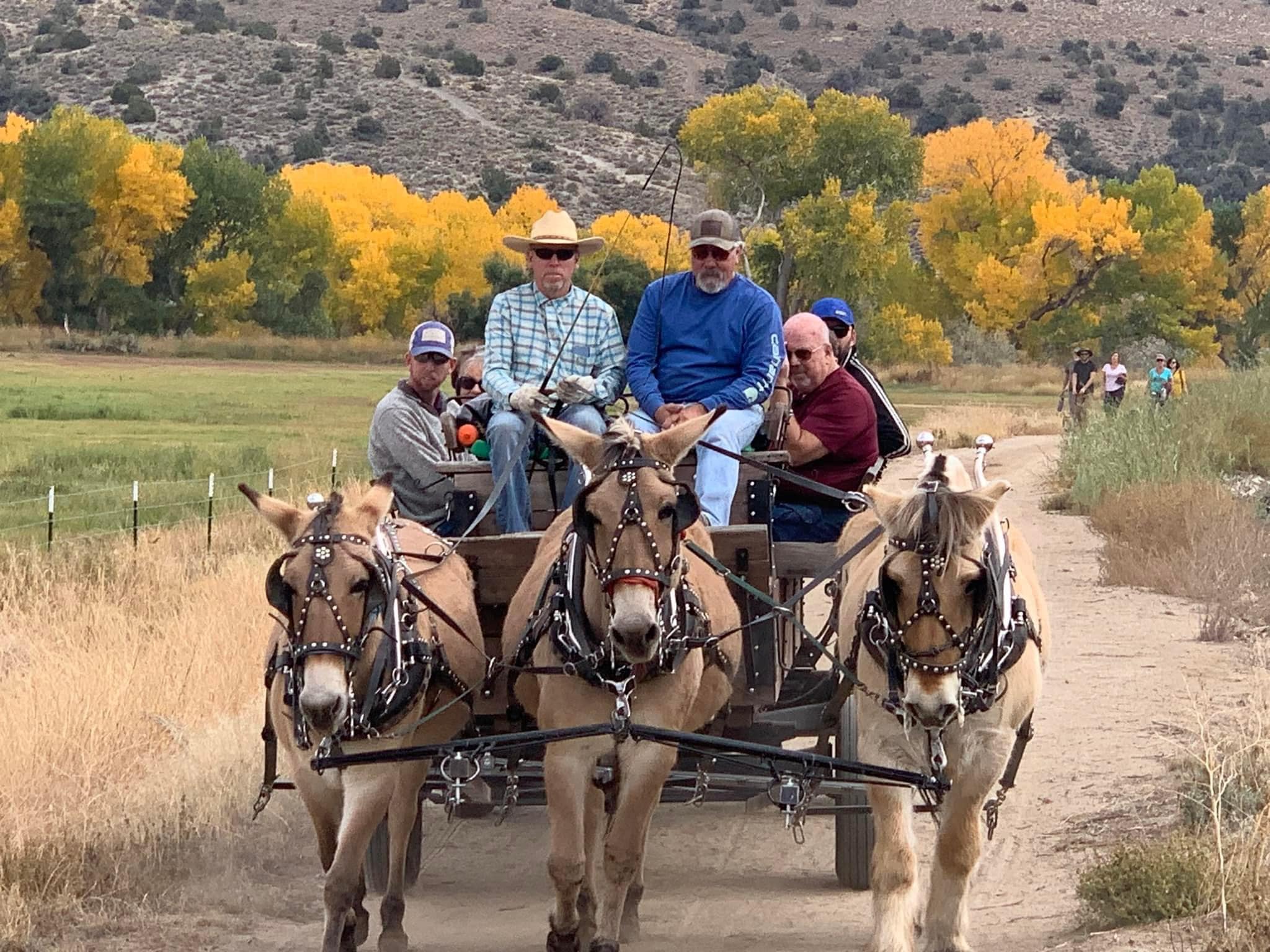 Fall Color Wagon Rides | Carson City Parks, Recreation & Open Space ...