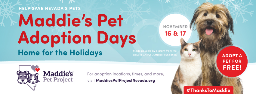 Home for the Holidays Pet Adoption | Fallon Animal Welfare Group ...