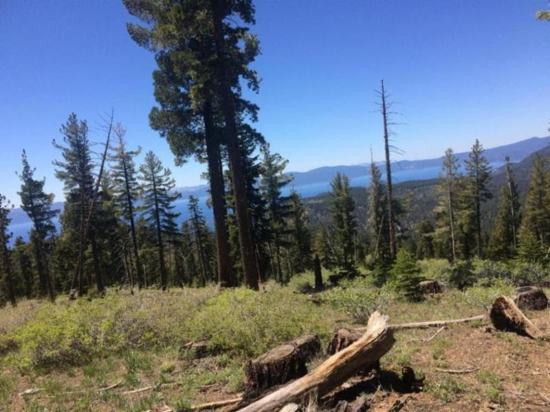 Muscle Powered Saturday Hike to Tahoe Rim Trail Spooner Summit South to ...
