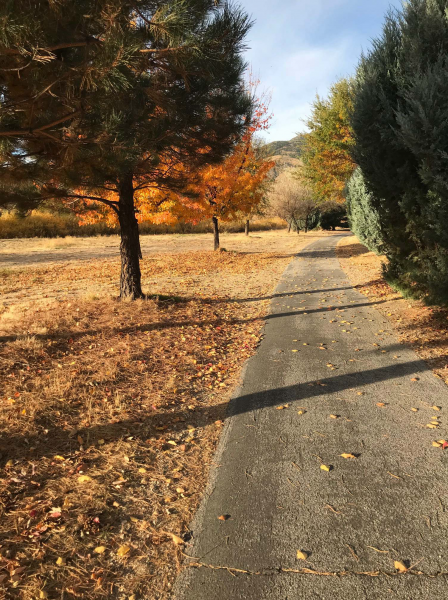 Muscle Powered Tuesday Morning Walk, September 24 at Long Ranch ...